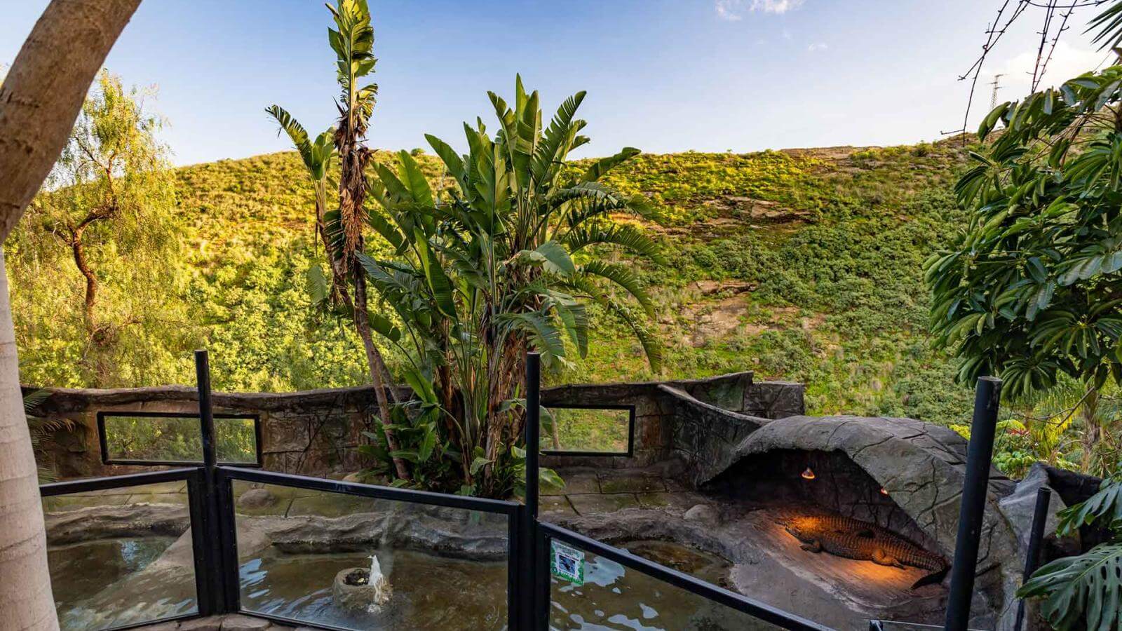 Centri di svago La Palma La Palma villa-de-mazo Zoo e acquari | La Palma